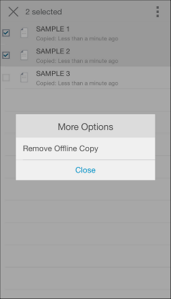 Viewing Documents Offline
